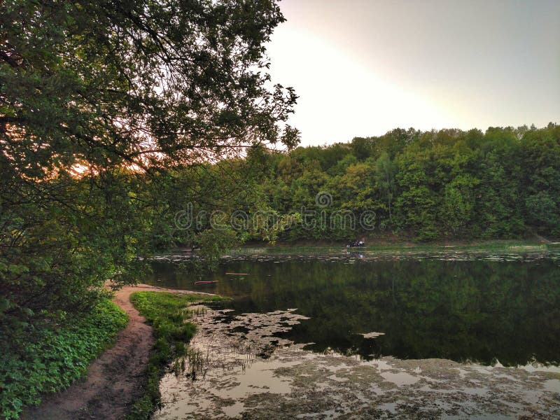 Lakeview stock image. Image of lakeview, forest, sunset - 93090153