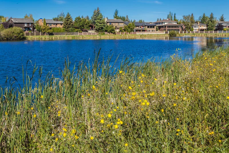 Lakeview Park stock image. Image of water, foliage, lakeview - 182608871