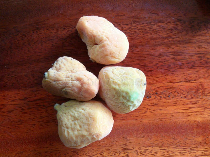 Lakoocha monkey jack fruit stock image. Image of vegetable - 51928297