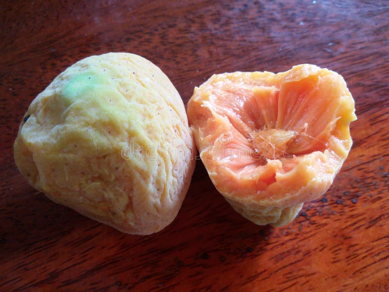 Lakoocha monkey jack fruit stock image. Image of fruit - 51930395