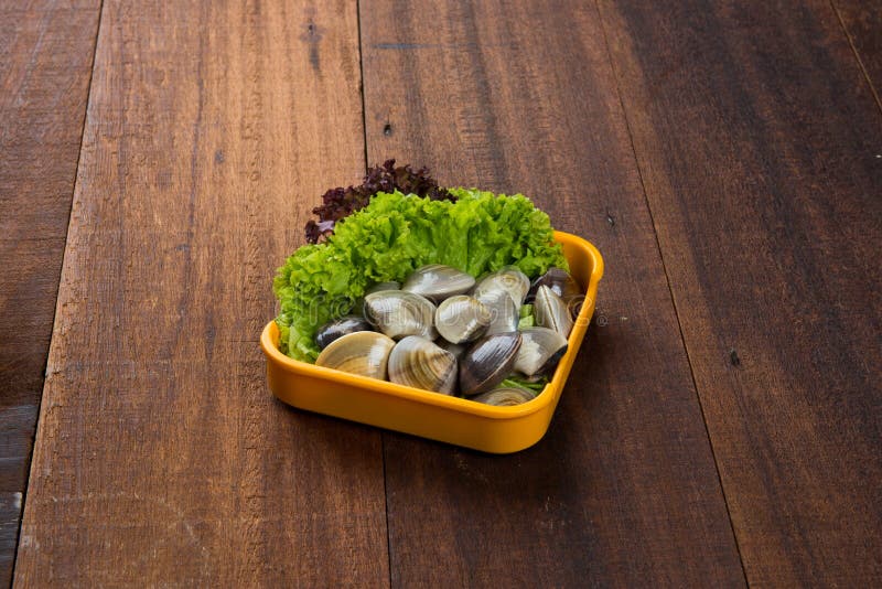 Lala Soft Shell Found in Asia Stock Image - Image of scapharca, market ...