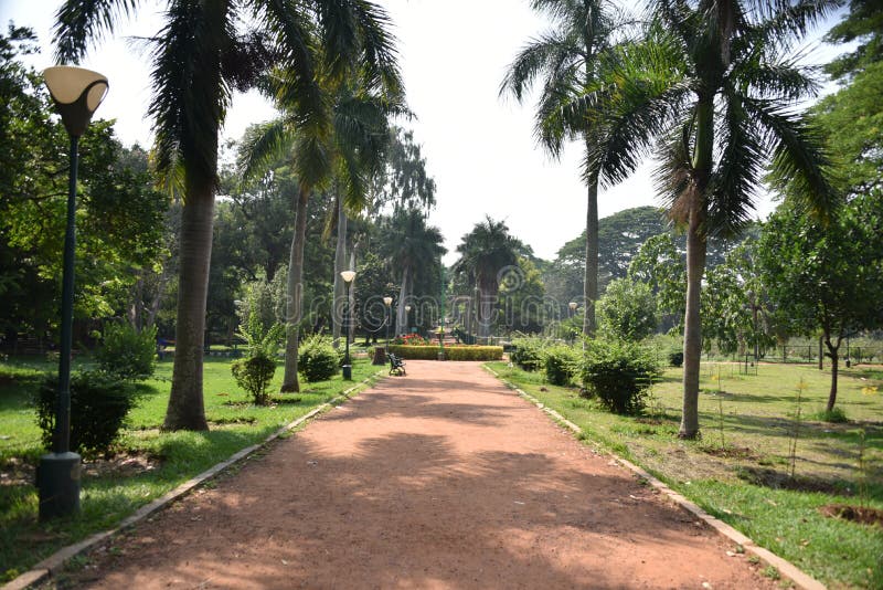 Lalbagh Botanical Garden, Bangalore, Karnataka Stock Image - Image of ...
