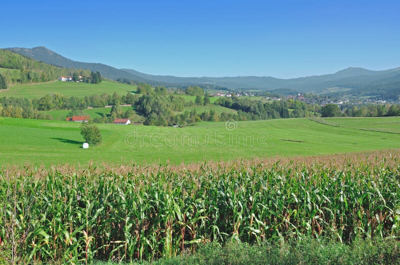 Lam ,bavarian Forest,Bavaria,Germany Stock Photo - Image of europe ...