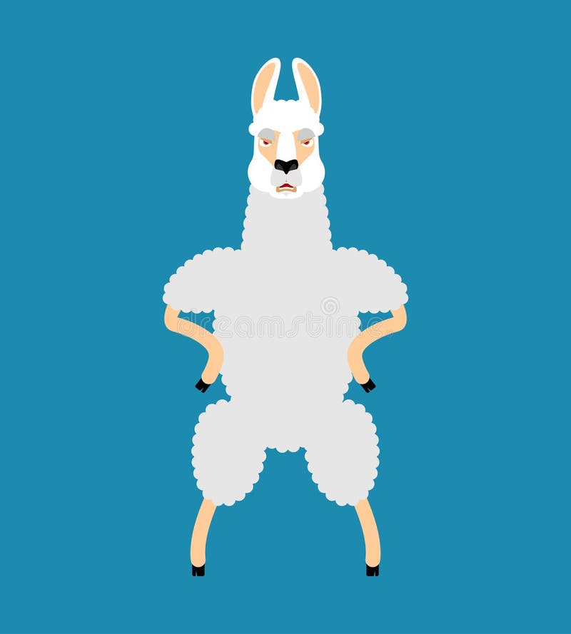 Lama Alpaca Angry. Animal Evil Emoji Stock Vector - Illustration of ...