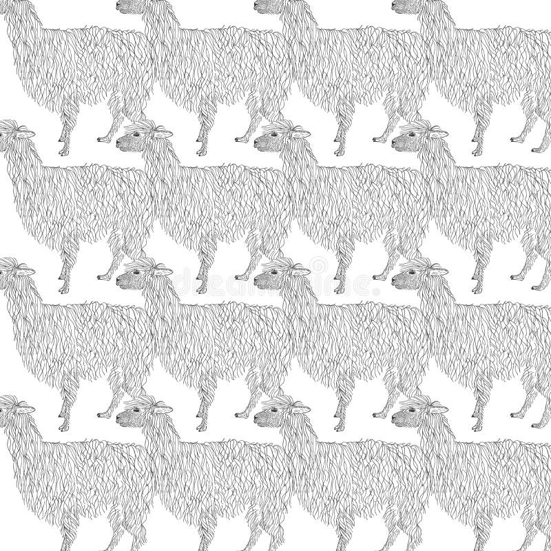 Lama, Alpaca Hand Drawn. Object Isolated on White Stock Vector ...