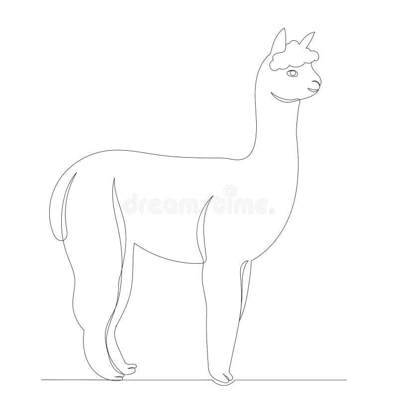 Lama Drawing by One Continuous Line, Isolated Stock Vector ...