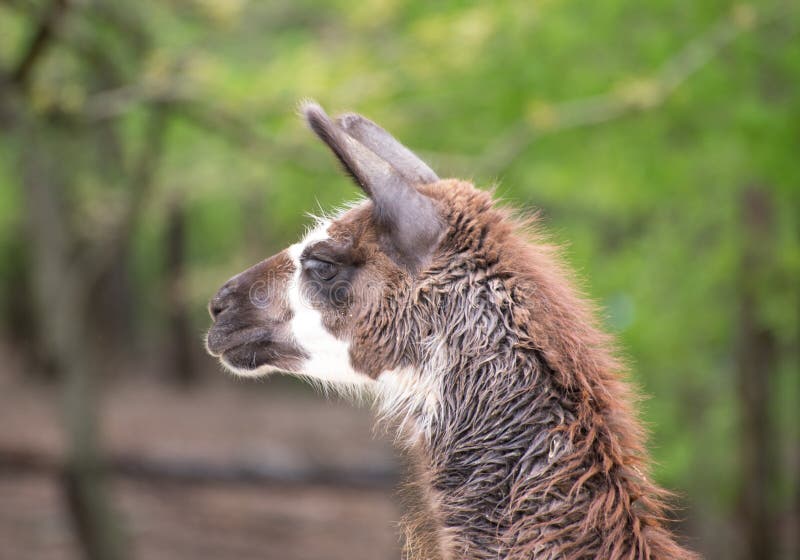 Muddy Heart Shape Stock Photos - Free & Royalty-Free Stock Photos from ...
