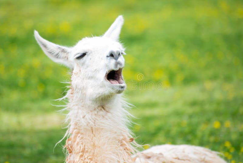 Muddy Heart Shape Stock Photos - Free & Royalty-Free Stock Photos from ...