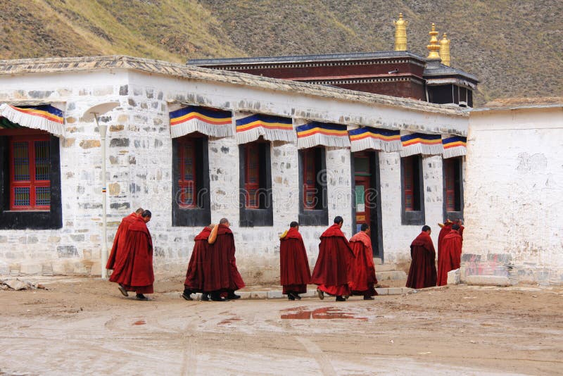 Lama in the monastery editorial image. Image of devotion - 27175610