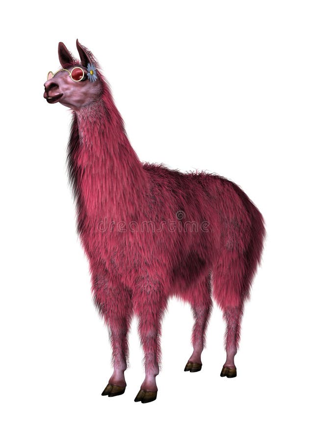 Lama rose sur le blanc illustration stock. Illustration du animal ...