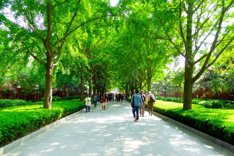 The Lama Temple path editorial image. Image of beijing - 76870075