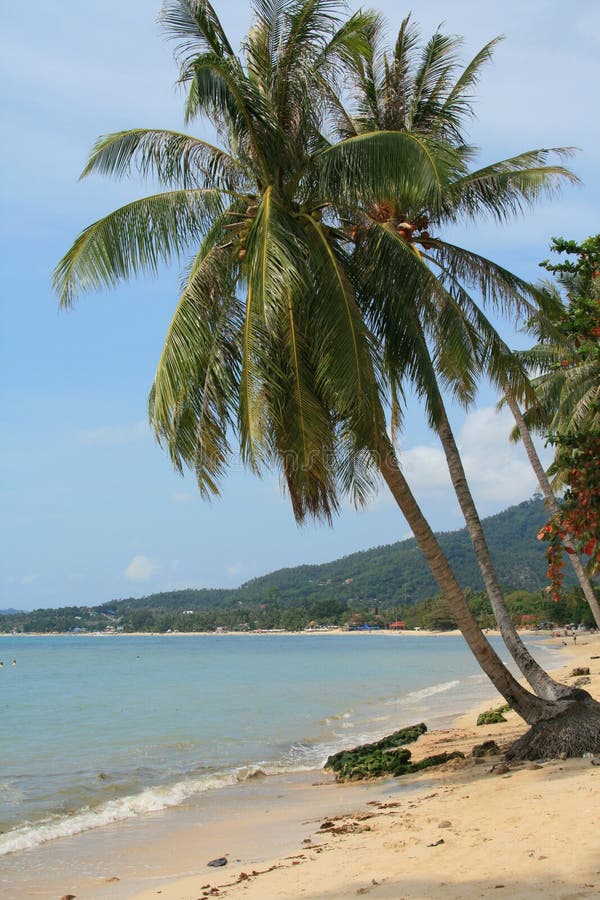 Thailand, Koh Samui Island: Lamai Beach Stock Image - Image of beach ...