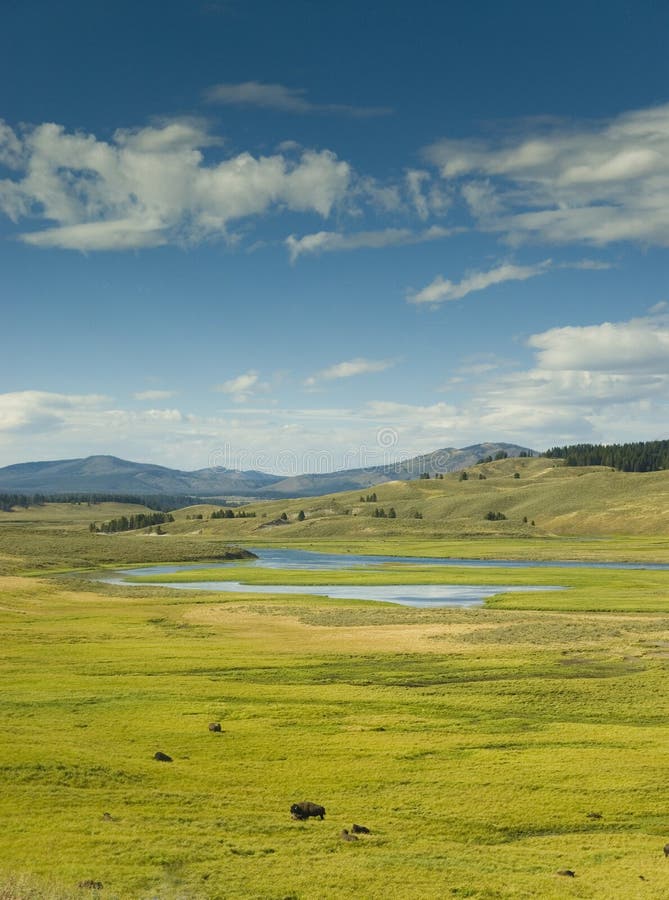 Lamar Valley, Yellowstone National Park in Fall Stock Photo - Image of ...