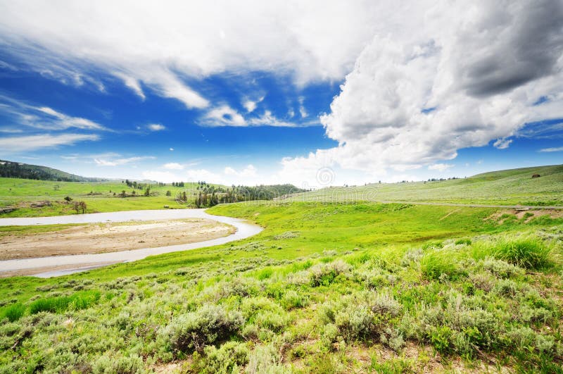 Lamar Valley at Yellowstone National Park Stock Image - Image of valley ...