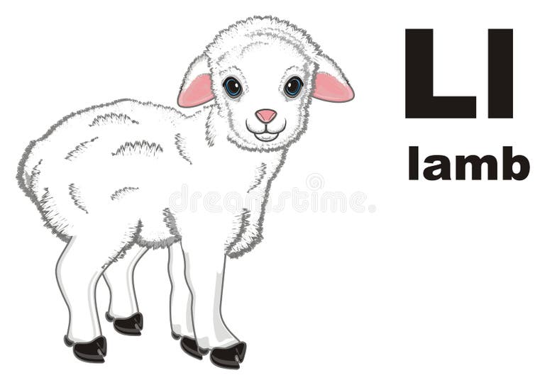 Lamb and abc stock illustration. Illustration of animal - 106187818