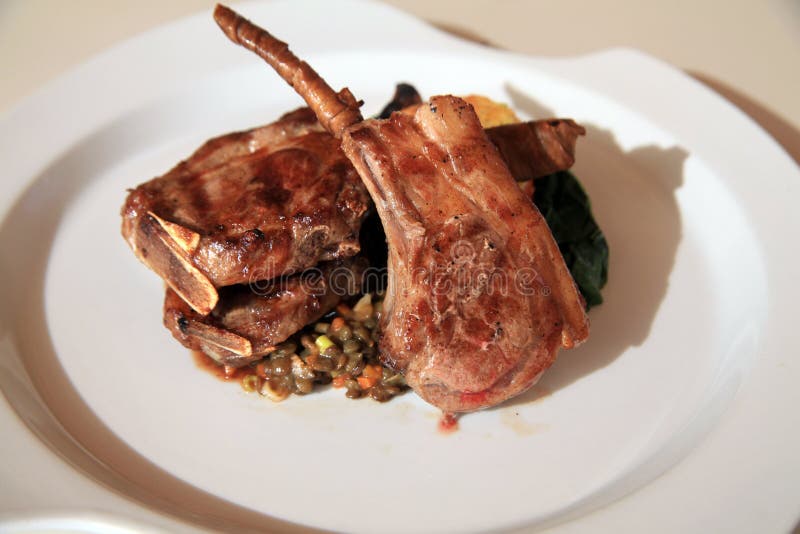 Lamb chop steak stock image. Image of main, menu, steak - 19773459