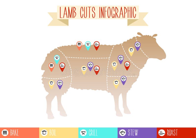 Lamb Cuts Infographic. Vector Silhouette of a Sheep with Markers Stock ...