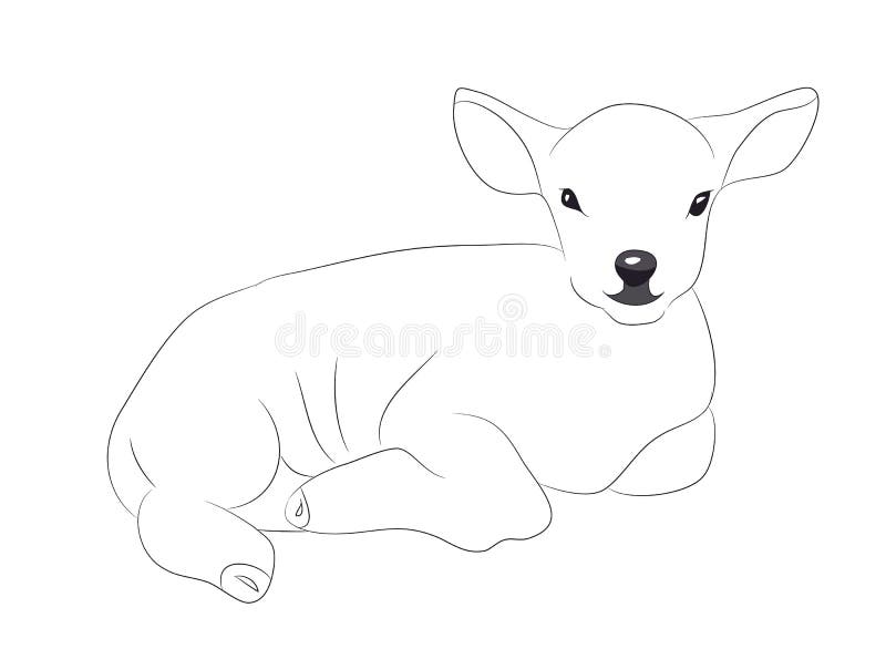 Lamb One Line Drawing Stock Illustrations – 193 Lamb One Line Drawing ...