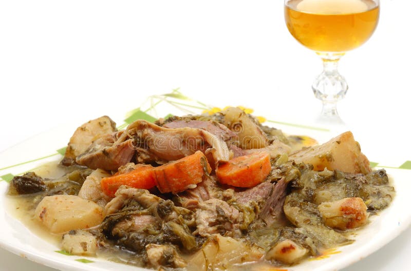 Leech stock photo. Image of environment, animal, stone - 12173054