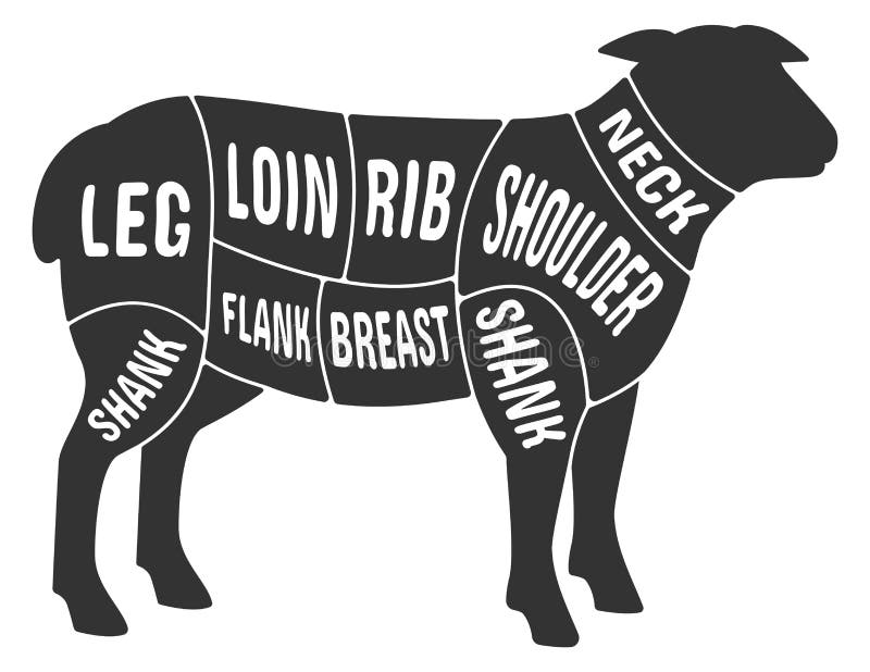 Lamb Meat Cut Scheme Butcher Black Diagram Stock Vector Illustration Of Design Shop 265547889