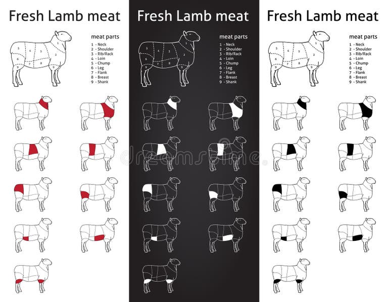 Lamb Cuts Stock Illustrations – 1,728 Lamb Cuts Stock Illustrations ...