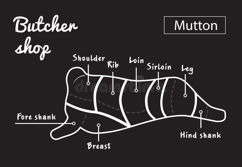 Lamb or Mutton Cuts Diagram. Butcher Shop Stock Vector - Illustration ...