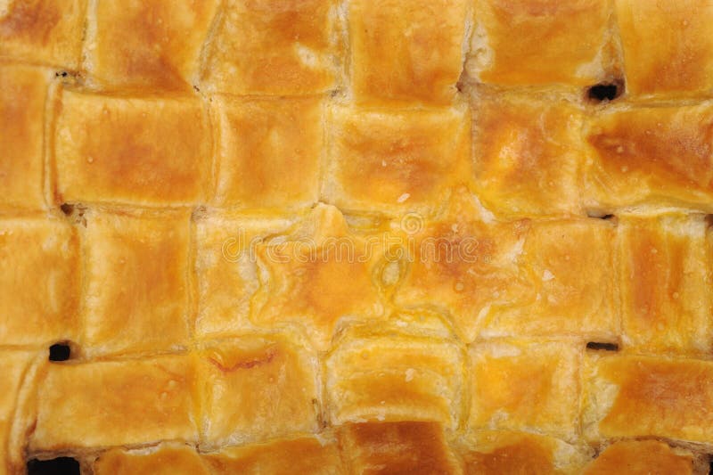 Lamb pastry tart stock photo. Image of cheese, tart, pastry - 13209588