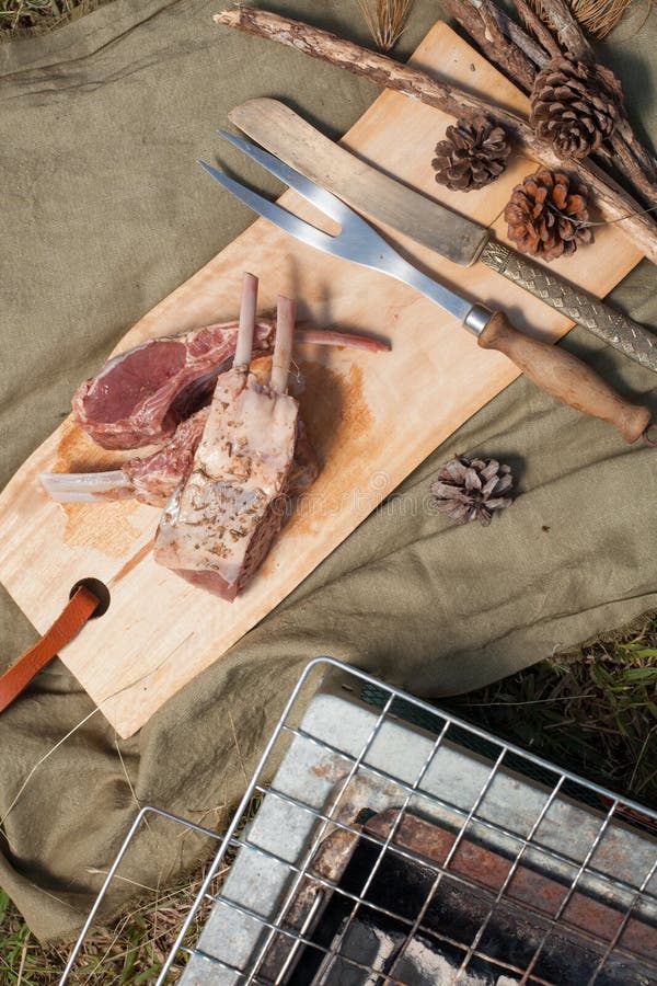 Lamb stock image. Image of picnic, grass, meal, herb - 82500837