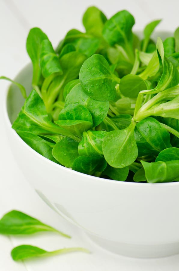 Lamb s lettuce stock image. Image of table, freshness - 40038523