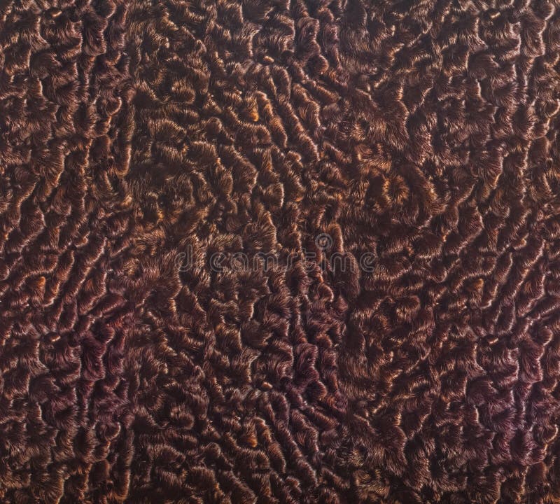 Lamb s skin background stock image. Image of abstract - 54313035