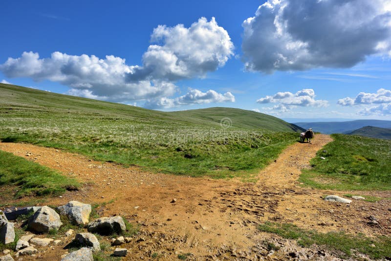 Crossroad on Sticks Pass stock photo. Image of arthur - 113507542