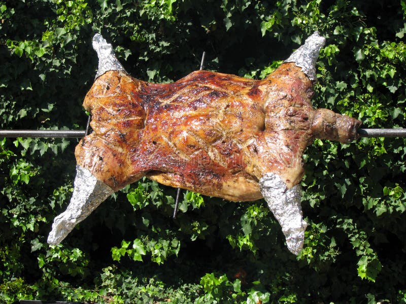 Lamb On A Spit Picture. Image: 6901086