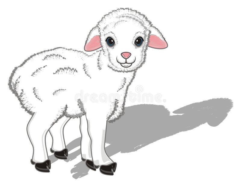 Sheep and her shadow stock illustration. Illustration of isolated ...