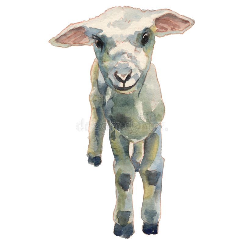 Yeanling Stock Illustrations – 285 Yeanling Stock Illustrations ...