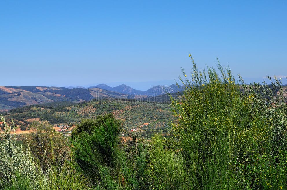 Lamdscape stock image. Image of house, green, tree, field - 38388873