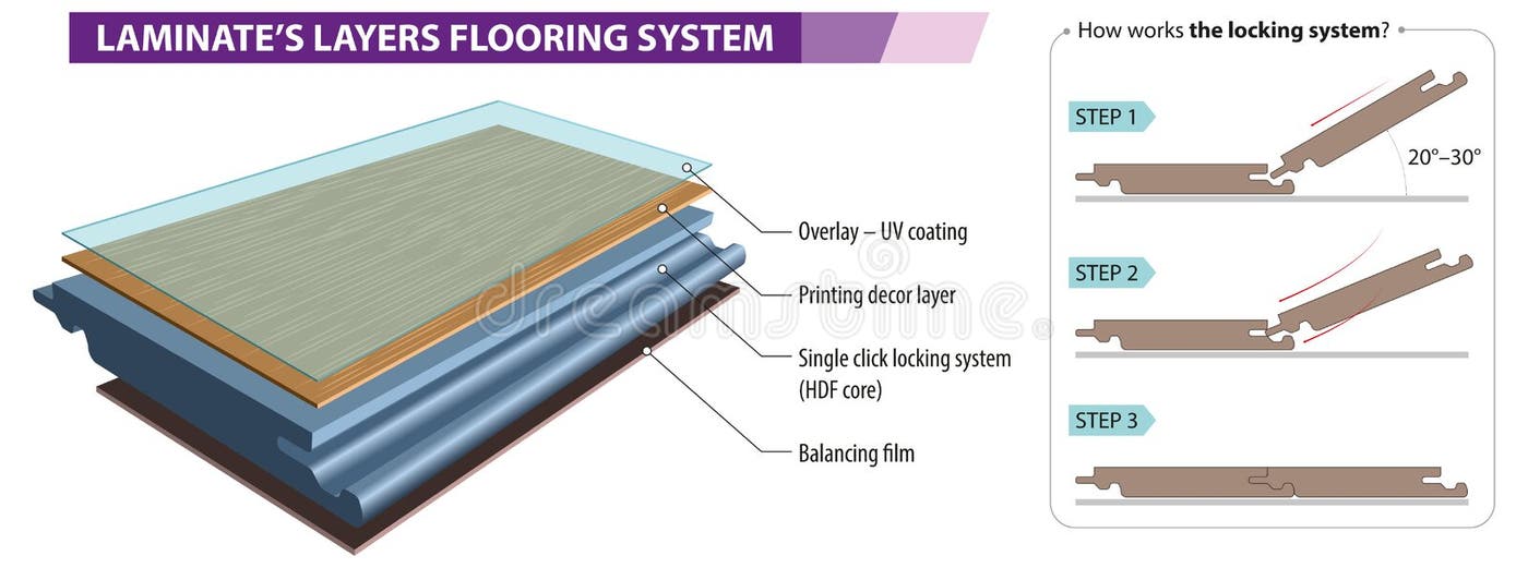 Vector Illustration Layers Laminate Flooring Stock Illustrations – 15 ...