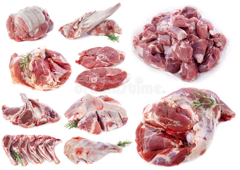 Lammfleisch stockfoto. Bild von schulter, fahrwerkbein - 35867478