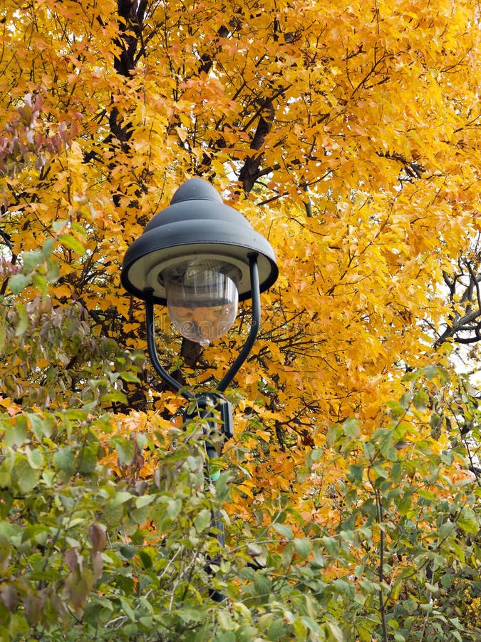 Lamp in the autumn leaves stock image. Image of abstract - 33791363