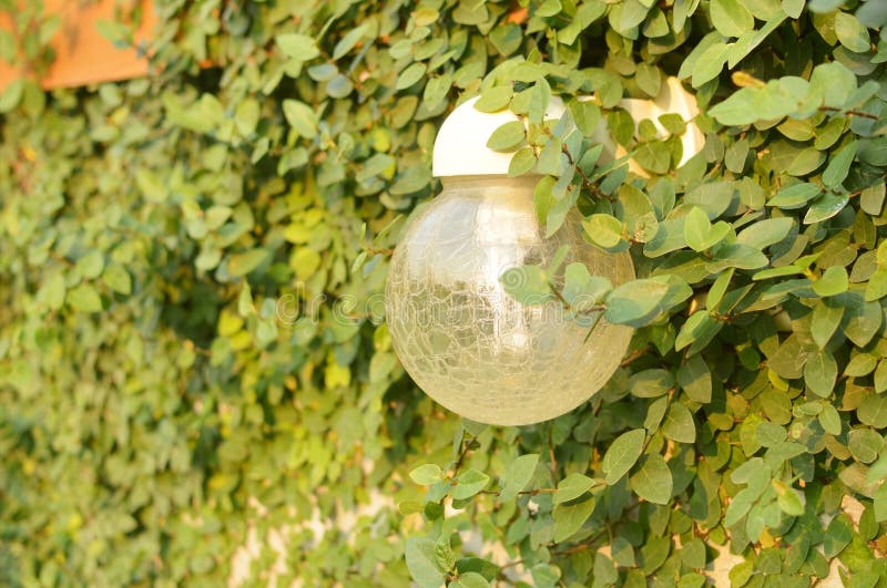 Lamp Bush Soft Lighting Stock Photos - Free & Royalty-Free Stock Photos ...
