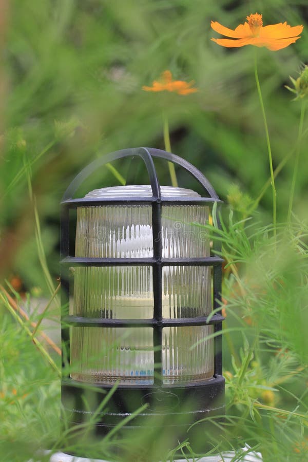 Lamp in Garden with Leaves Covered Stock Photo - Image of lawn ...