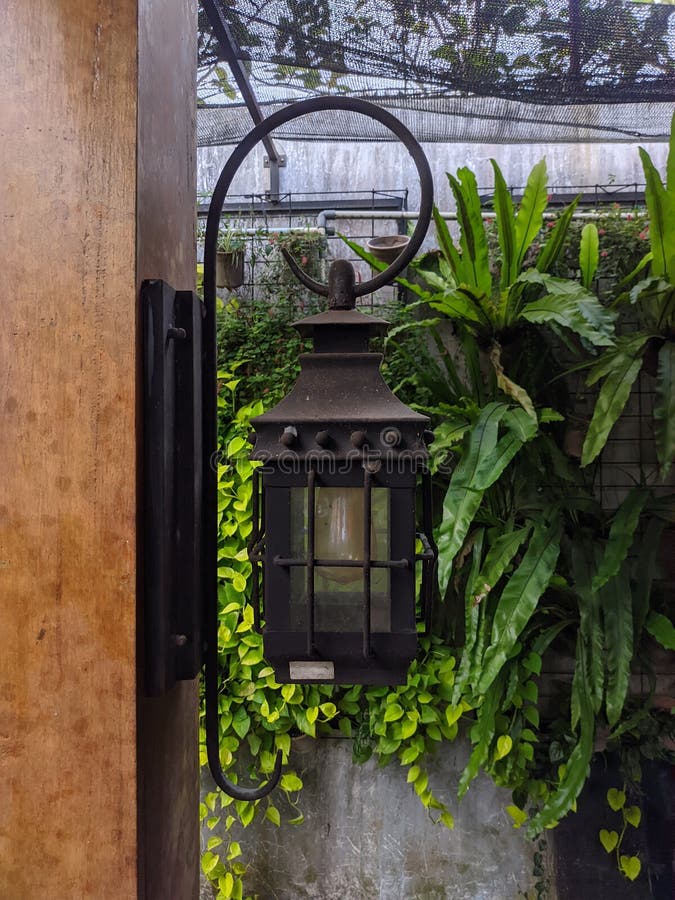 Lamp Green Beautiful Nature Light Stock Photo - Image of lamp, light ...