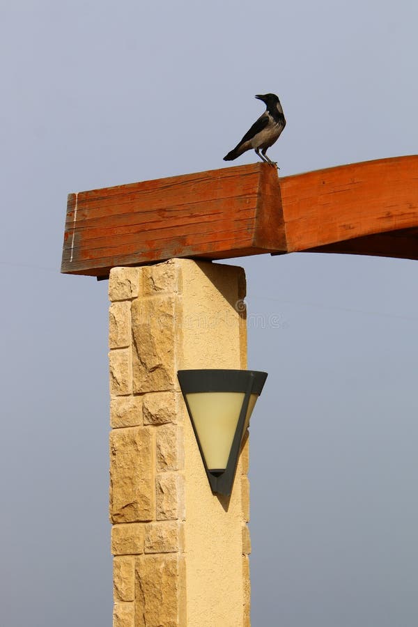 Lamp stock photo. Image of illuminating, sections, stationary - 104682880