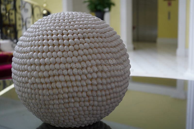 Lamp Made of Snail Shells. Snail Shells Stock Photo - Image of marine ...