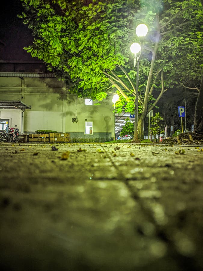 Lamp Night Tree Yellow Lighting Stock Image - Image of autumn ...