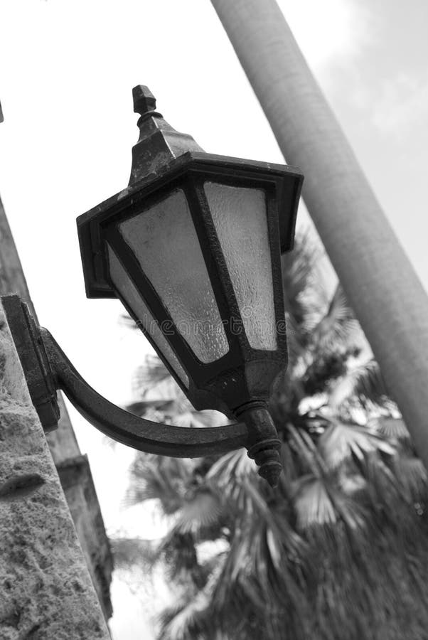 Lamp post stock photo. Image of tree, trunk, background - 5840038