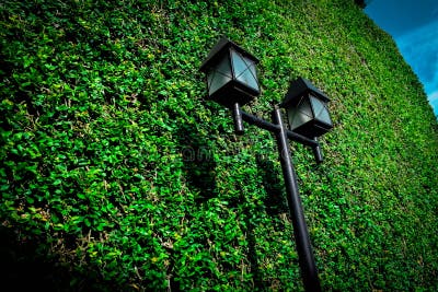 Lamp post stock image. Image of leaves, poste, green - 58960223
