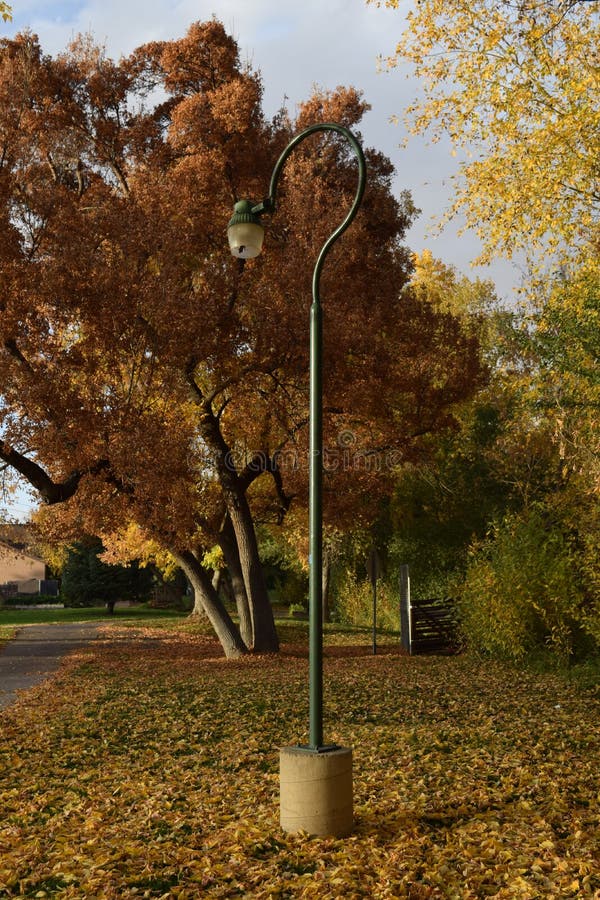 Lamp Post in Fall stock image. Image of post, falling - 51414873