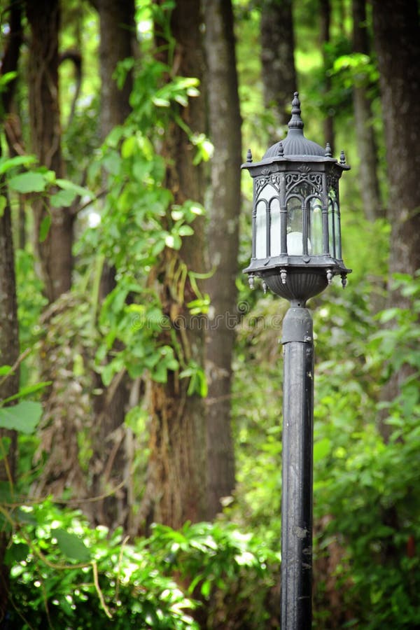 Lamp post in a forest stock photo. Image of foliage, mark - 64771232