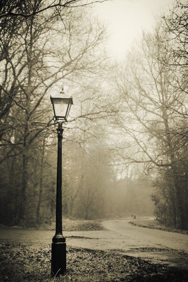 Lamp post landscape stock photo. Image of forest, view - 111405650