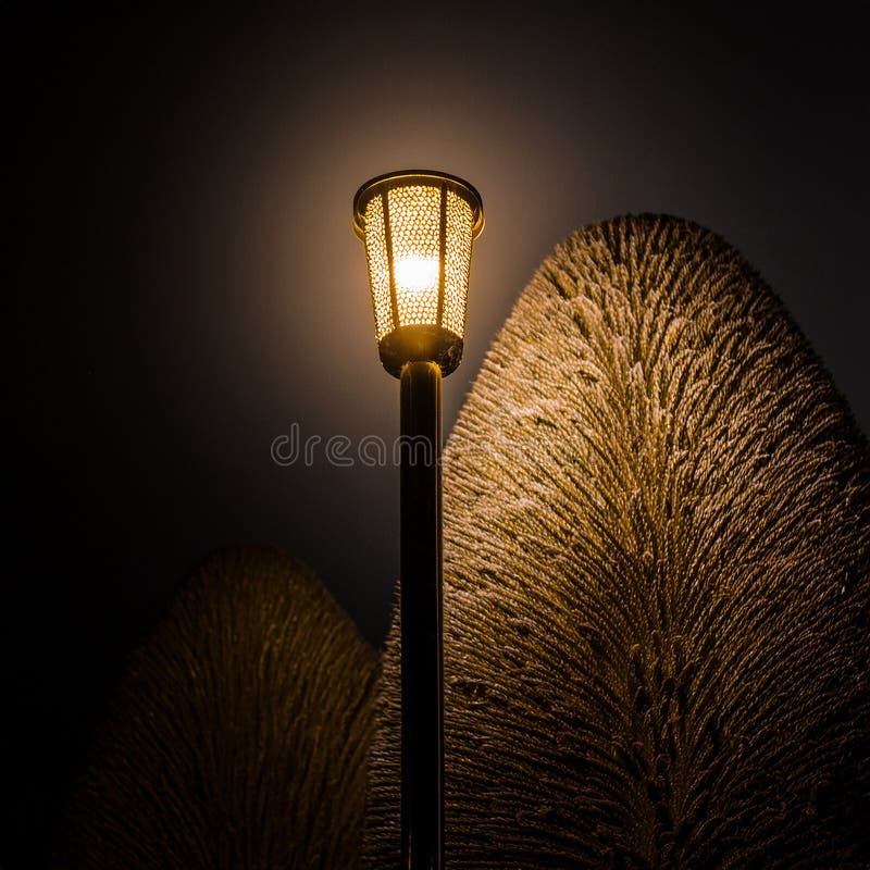 Lamp-Post. Lamp Post Lit at Night Stock Illustration - Illustration of ...